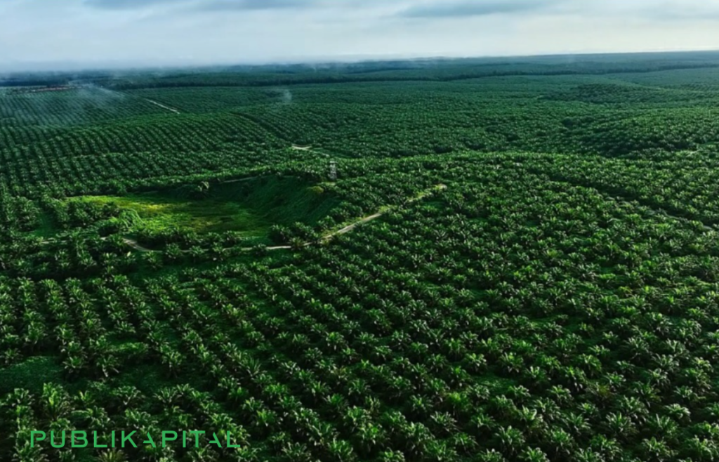 Saham Astra Agro Lestari (AALI): Masih Layak Dibeli Di 2026? Cek ...